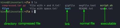 ls Command in Linux: Your Comprehensive Guide - Linux Start