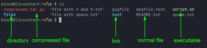 ls Command in Linux: Your Comprehensive Guide - Linux Start