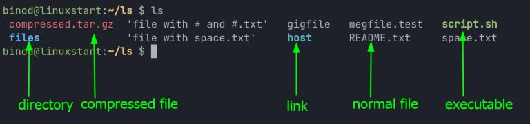 ls Command in Linux: Your Comprehensive Guide - Linux Start