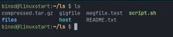 ls Command in Linux: Your Comprehensive Guide - Linux Start