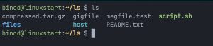 ls Command in Linux: Your Comprehensive Guide - Linux Start