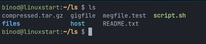 ls Command in Linux: Your Comprehensive Guide - Linux Start