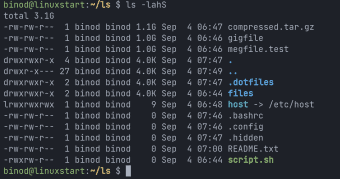 ls Command in Linux: Your Comprehensive Guide - Linux Start