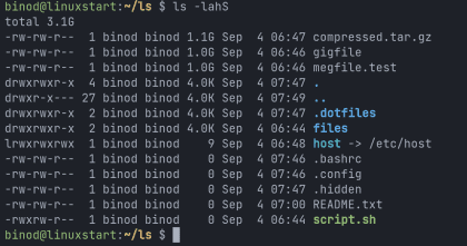 ls Command in Linux: Your Comprehensive Guide - Linux Start